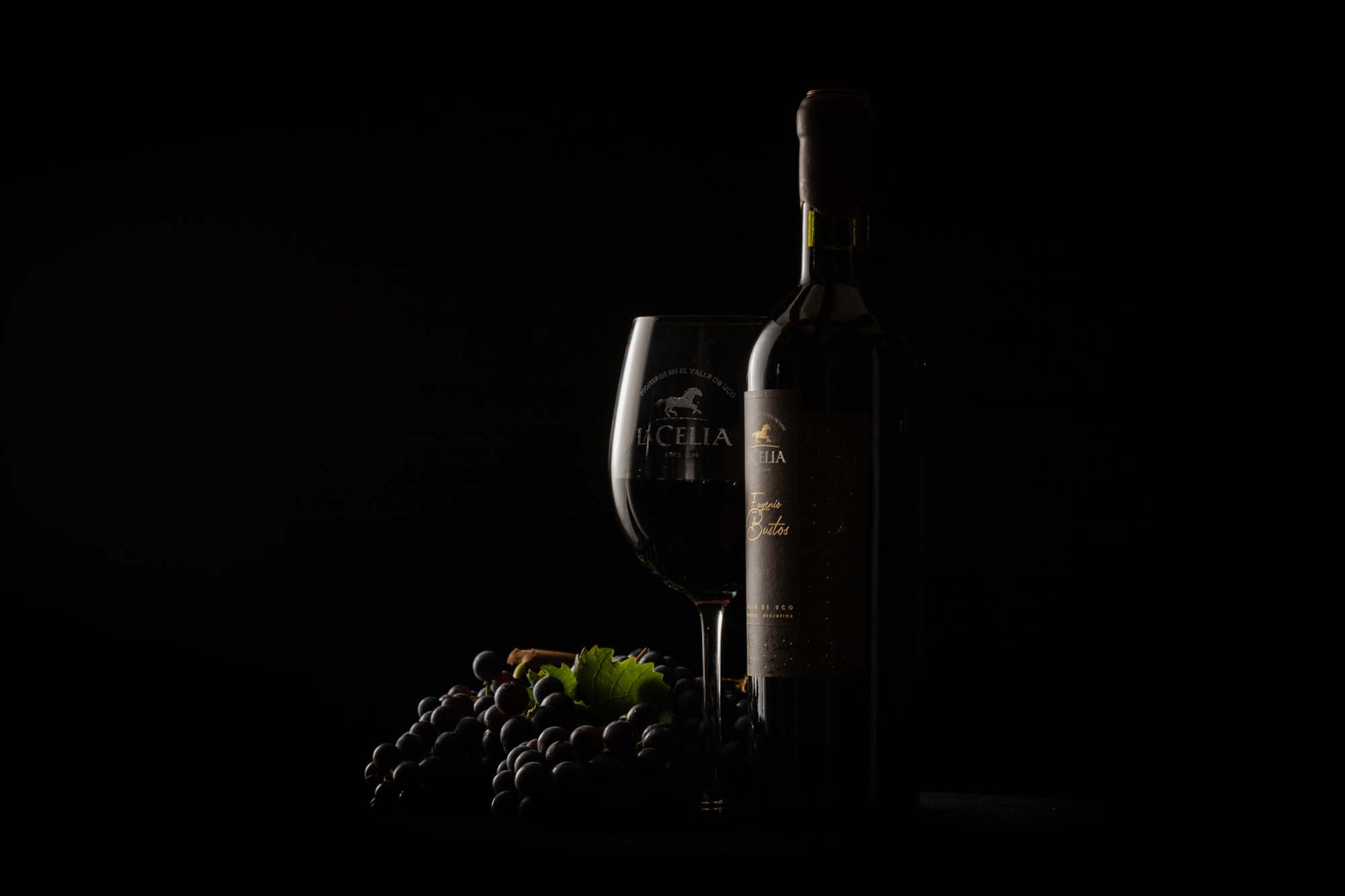 Eugenio Bustos Terroir – La Celia Wines